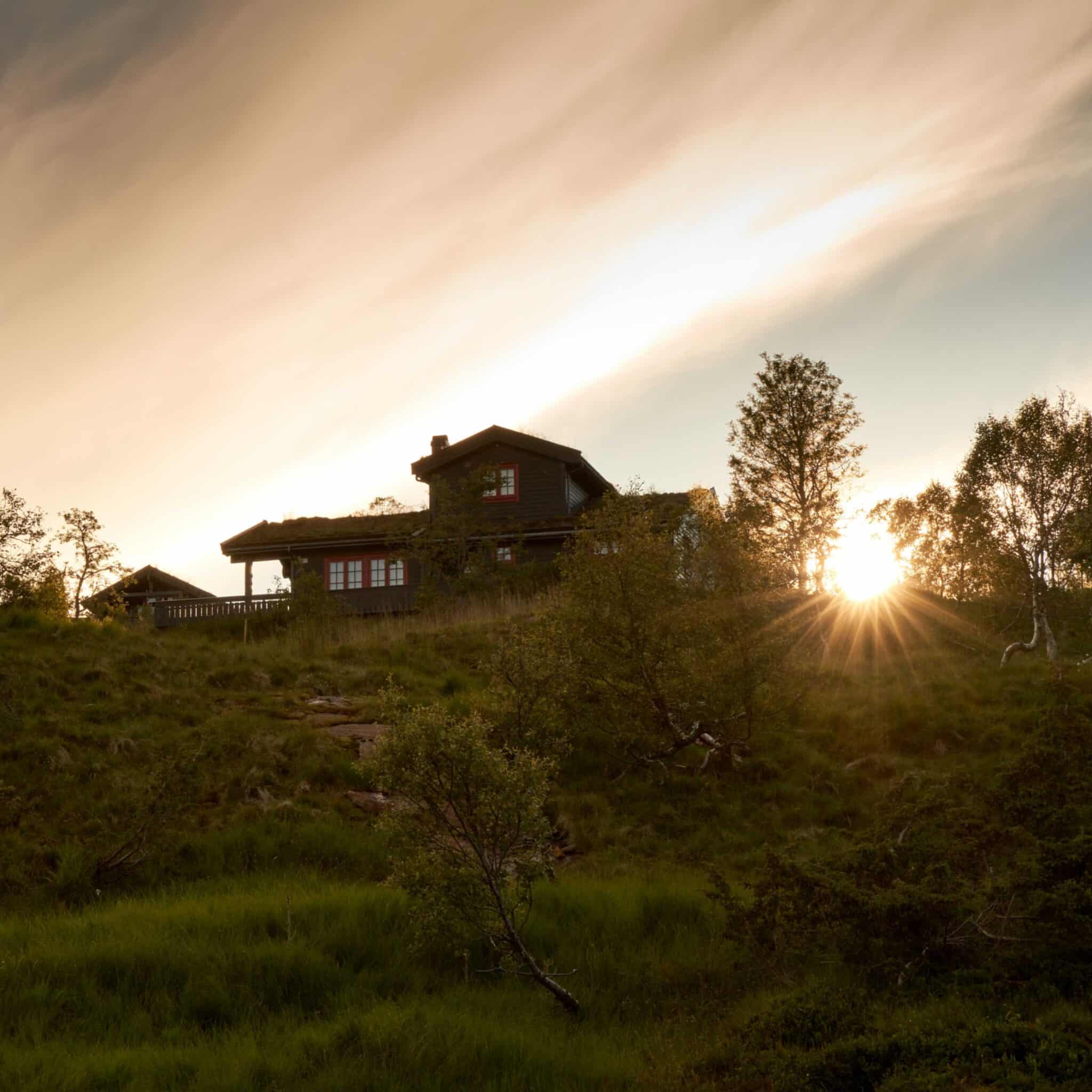 Insurance Richardson Texas - Royalty Insurance